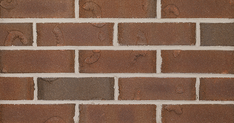 Brick | Glen-Gery Brick | Extruded - textured and papercut | Modular ...