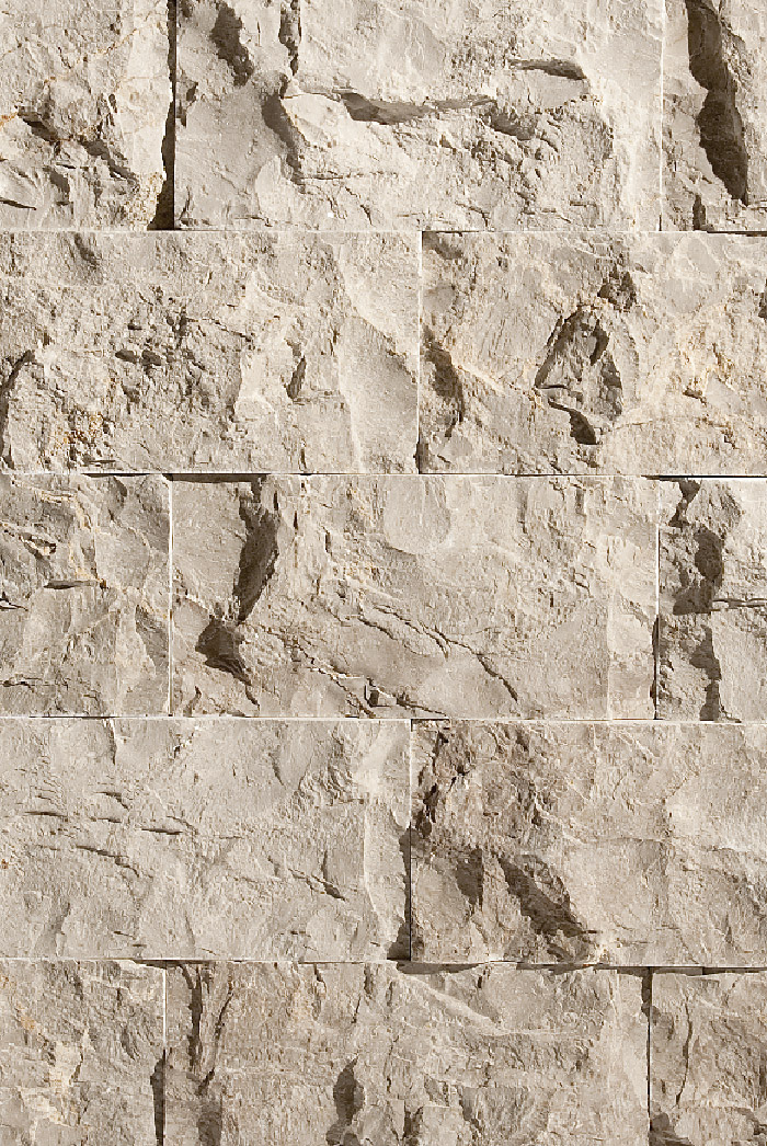 Thin Veneer | Erth Coverings | Natural Stone Panels | Fossil